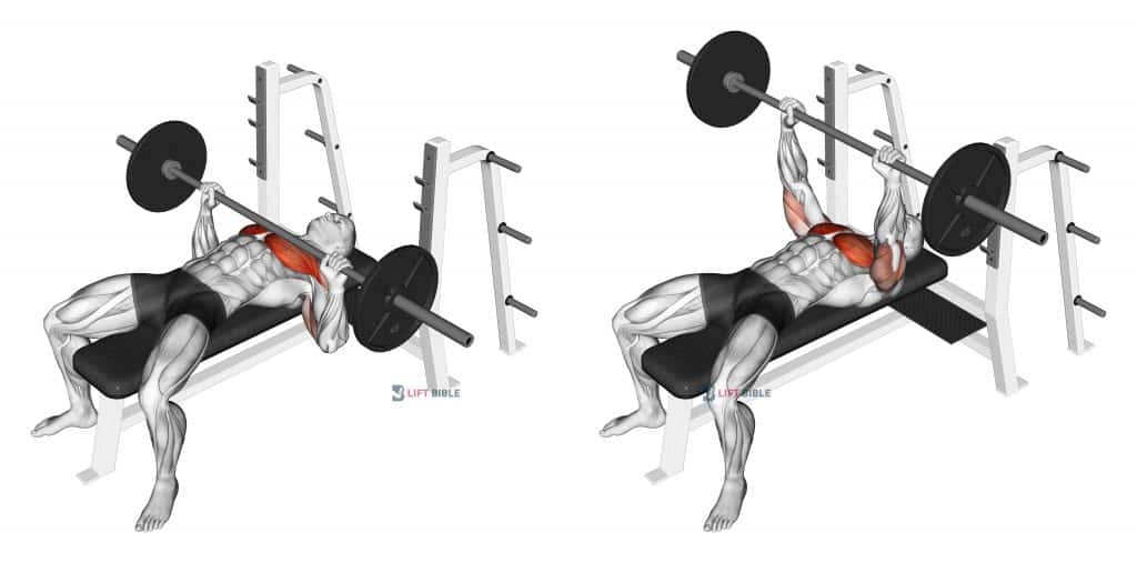 How to do a Barbell Bench Press - Home Gym Review