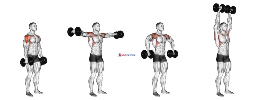 Dumbbell Cuban Press - Home Gym Review