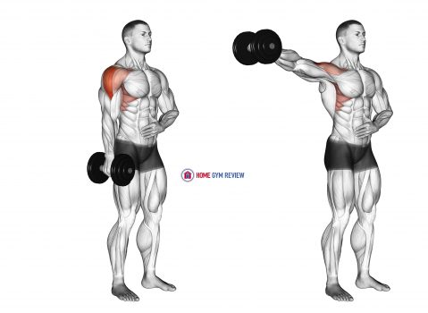 Dumbbell One Arm Lateral Raise - Home Gym Review