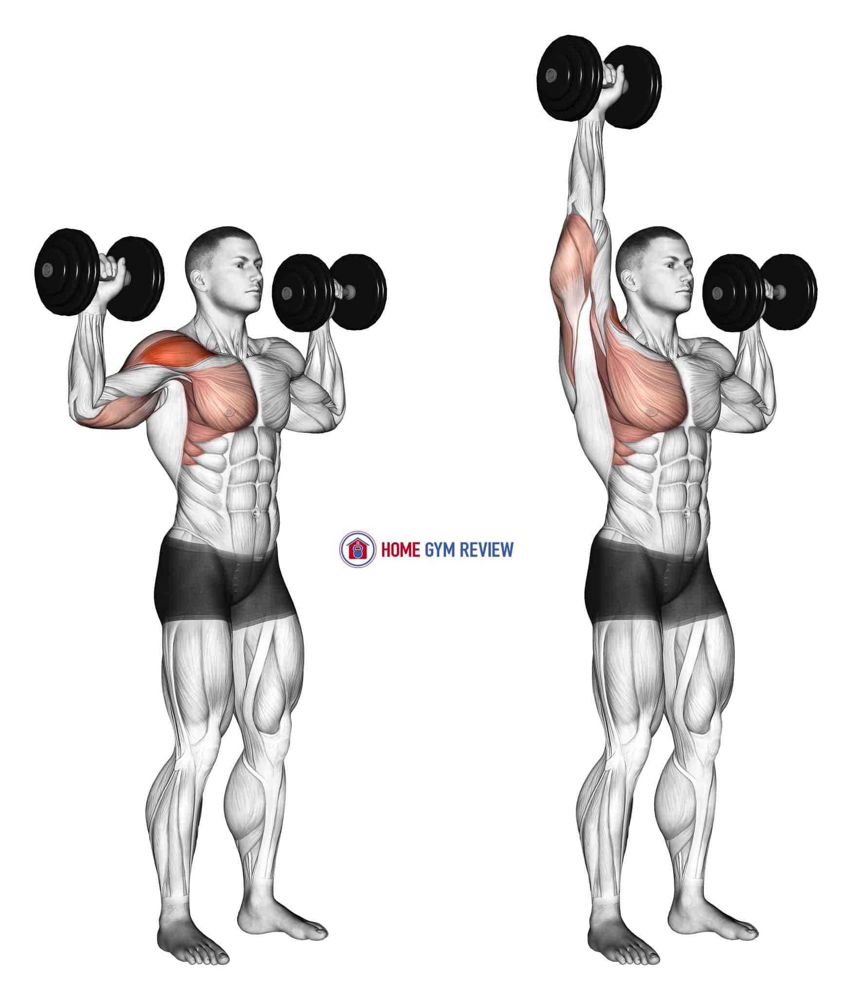Dumbbell One Arm Shoulder Press - Home Gym Review