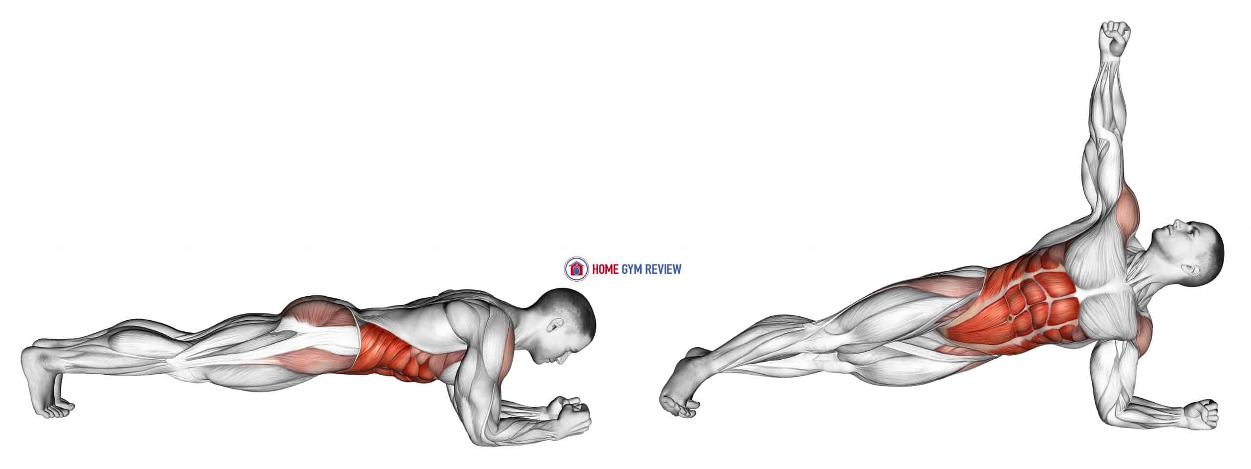 Front Plank with Twist - Home Gym Review
