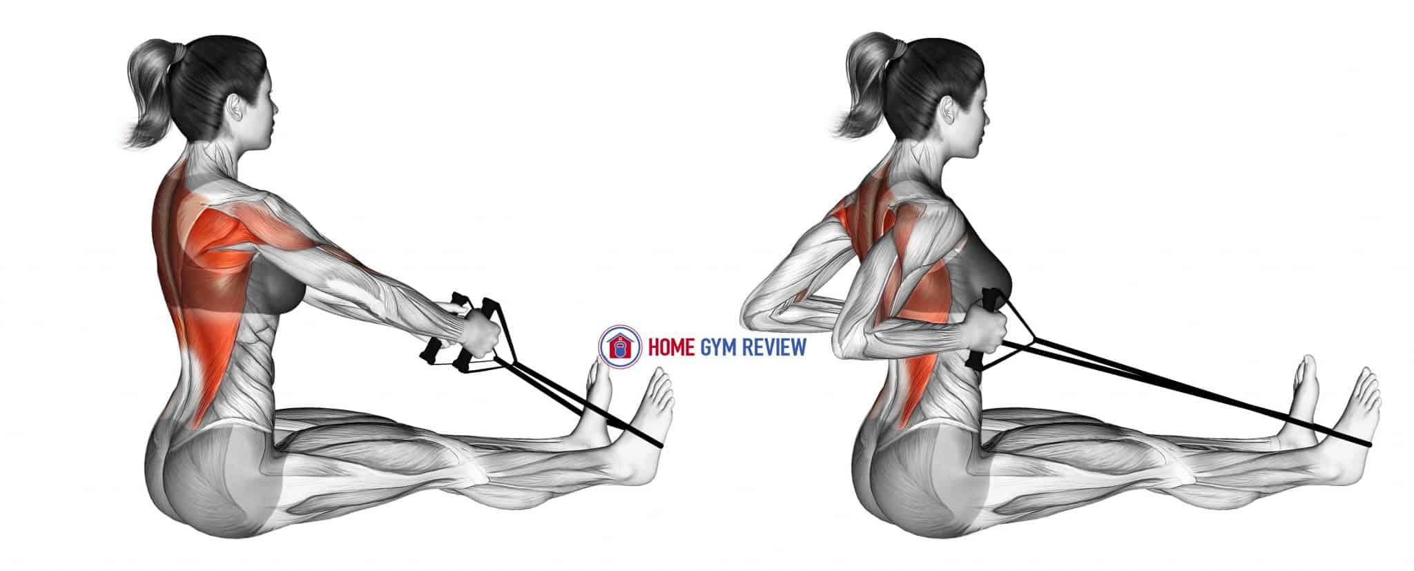 Band straight-back seated row - Home Gym Review