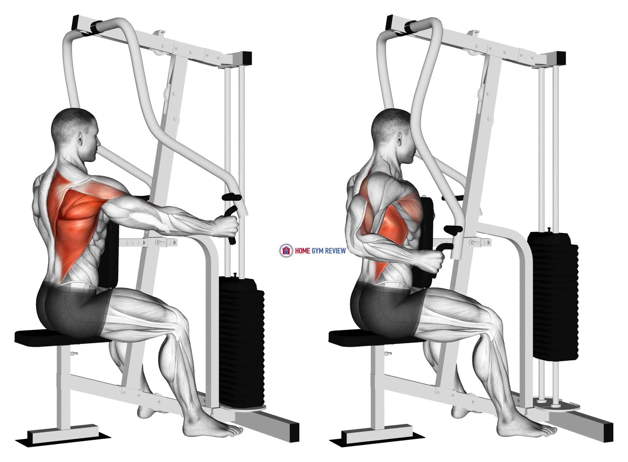 Lever One Arm Seated Row (Seated row machine) - Home Gym Review