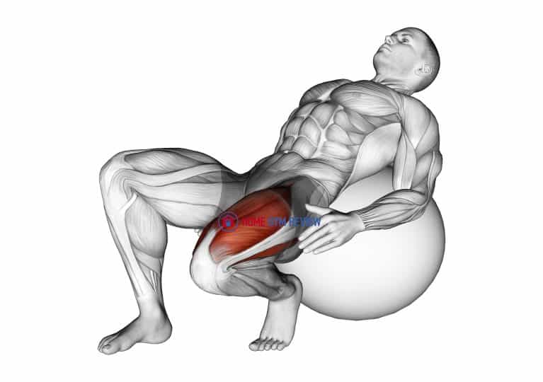 Exercise Ball Seated Quad Stretch - Home Gym Review Exercise Ball Seated Quad Stretch - Home Gym Review