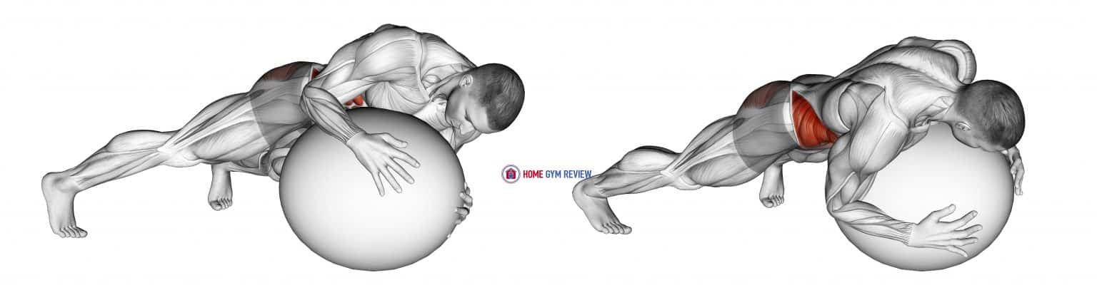Prone Twist On Stability Ball - Home Gym Review