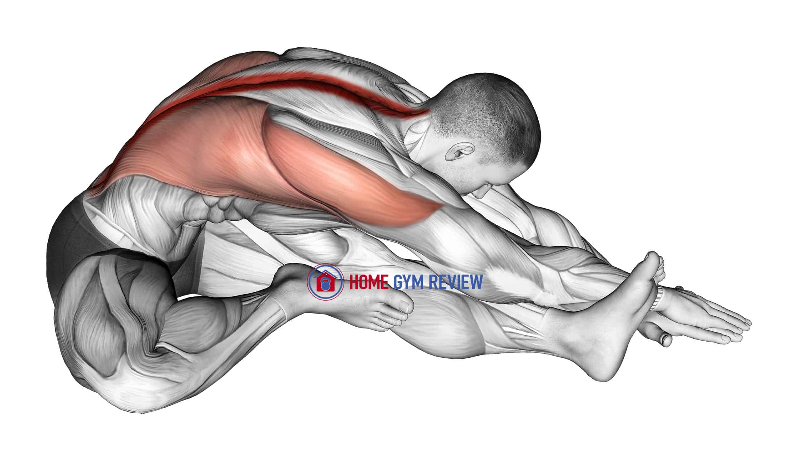 Sitting Side Reach Stretch - Home Gym Review