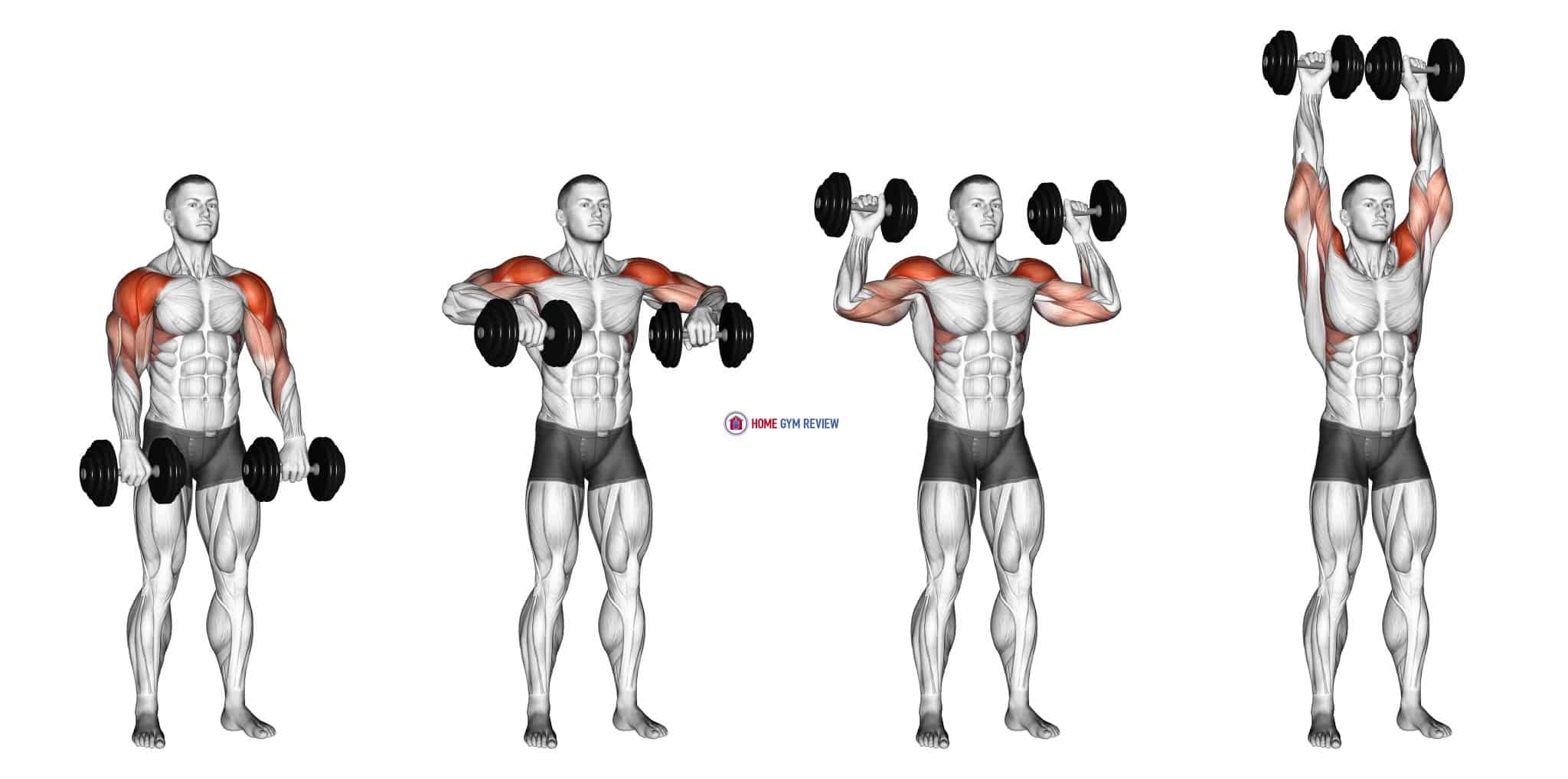 Dumbbell Cuban Press (version 2) - Home Gym Review