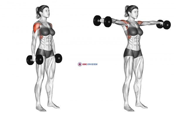 Dumbbell Standing Lateral Raise (female) - Home Gym Review