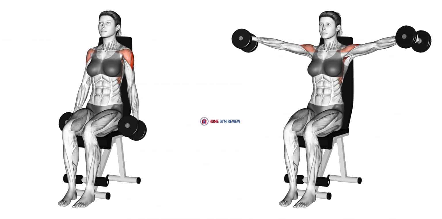 Dumbbell Incline One Arm Lateral Raise - Home Gym Review