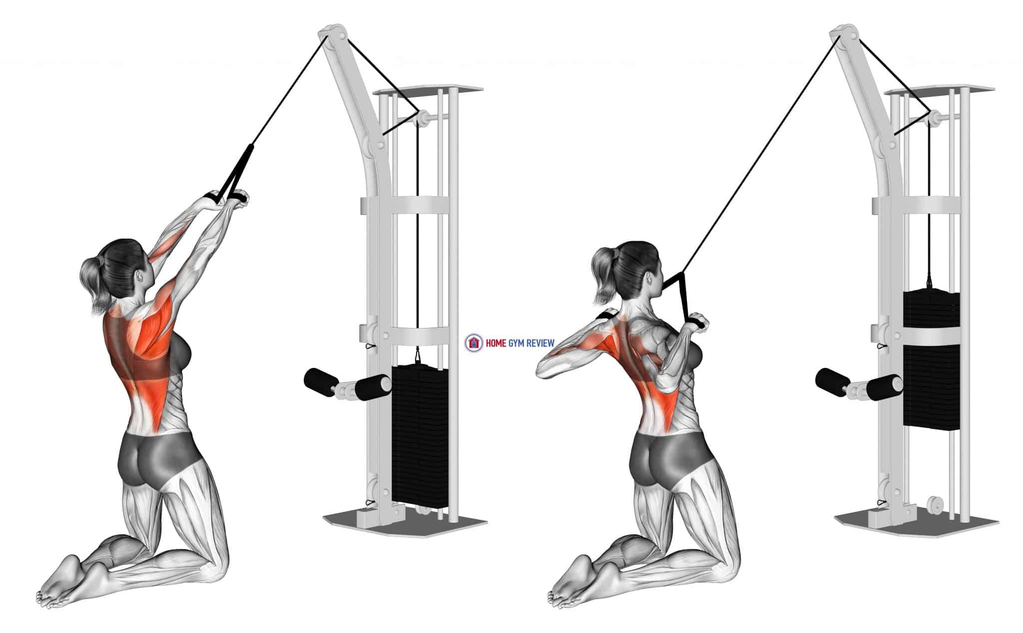 Dumbbell Incline One Arm Lateral Raise - Home Gym Review