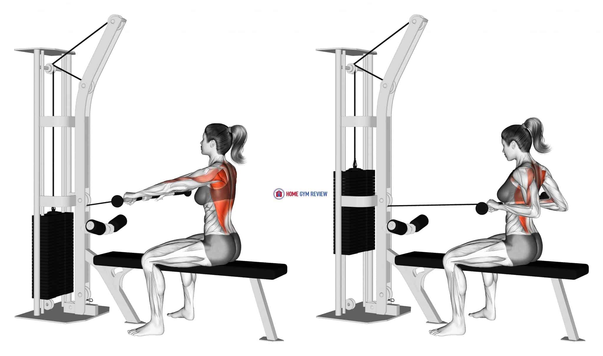 Lying Floor Row with Bent Knee - Home Gym Review