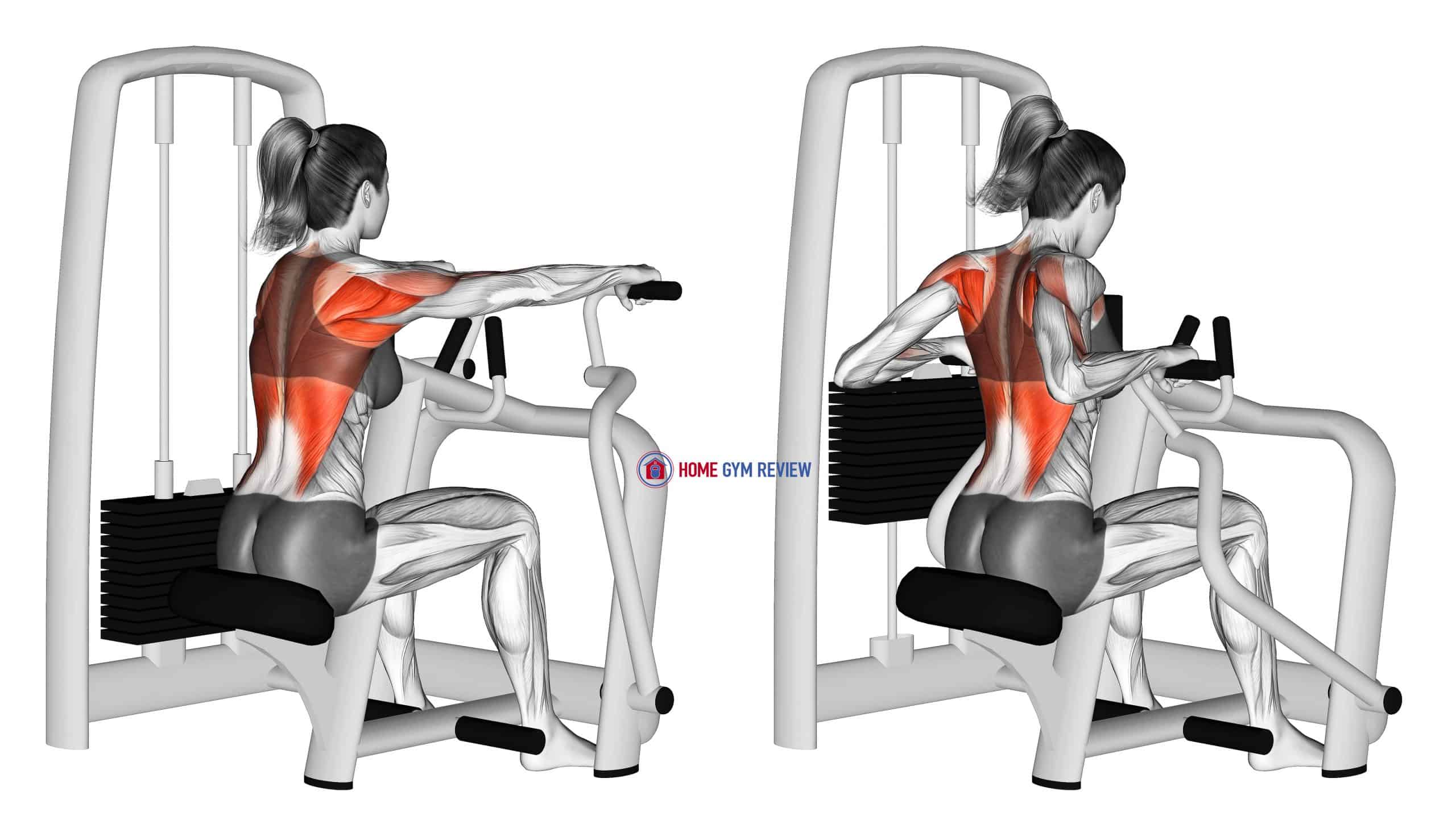 Lever Seated Row (female) - Home Gym Review