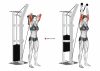 Cable Overhead Triceps Extension (rope attachment) (female) - Home Gym ...