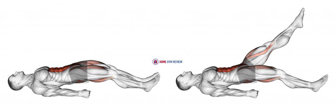 Vertical Leg Raise (on parallel bars) (female) (VERSION 2) - Home Gym ...