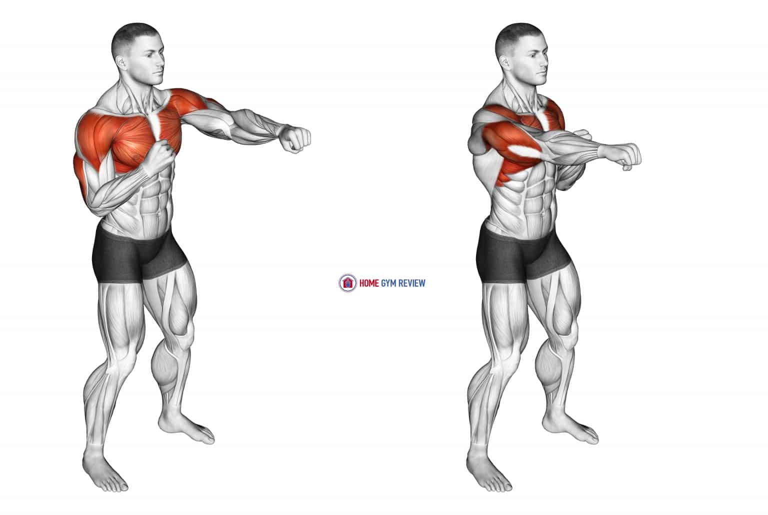 Lever Pec Deck Fly - Home Gym Review