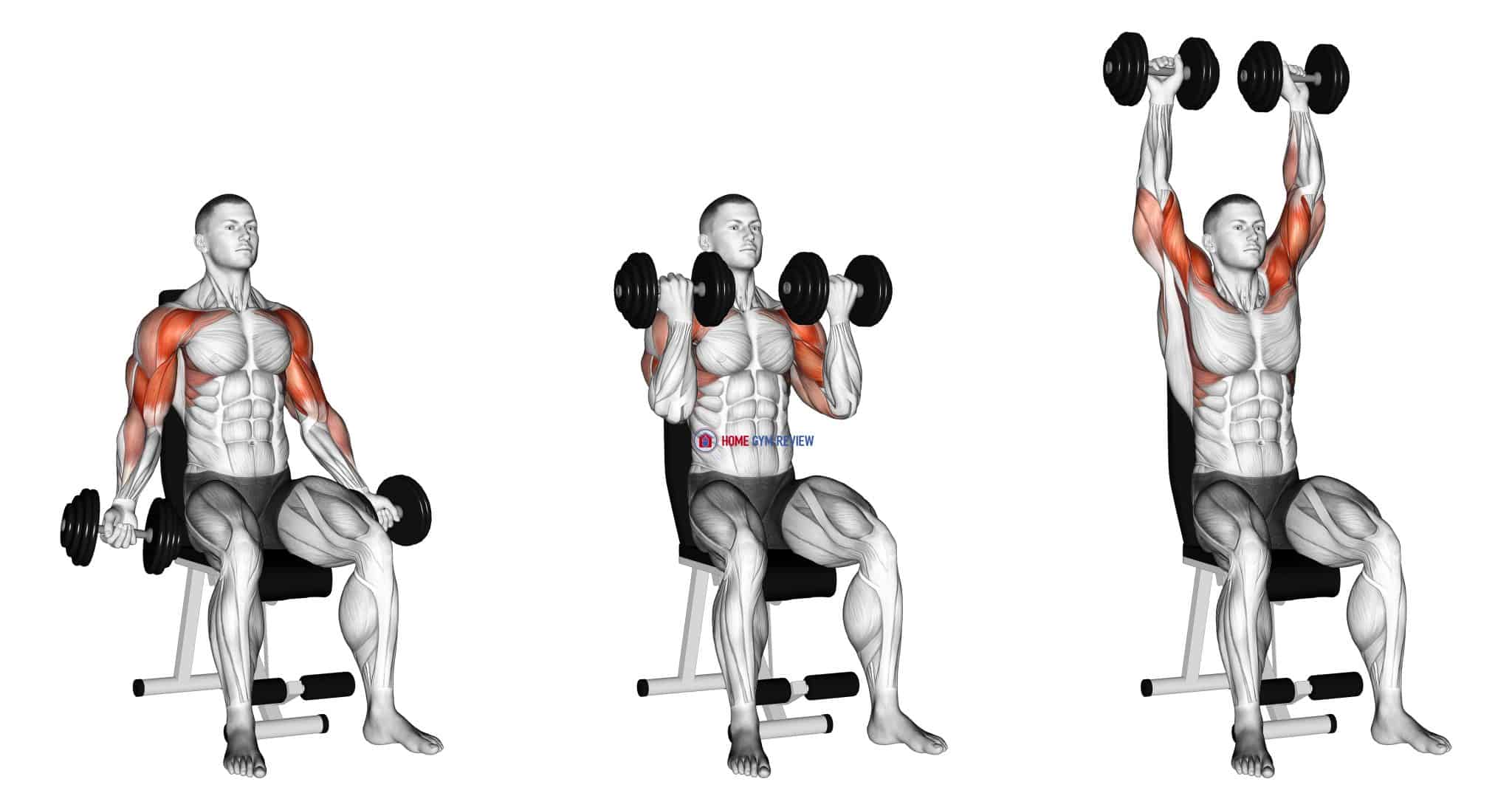 Dumbbell Seated Biceps Curl to Shoulder Press - Home Gym Review