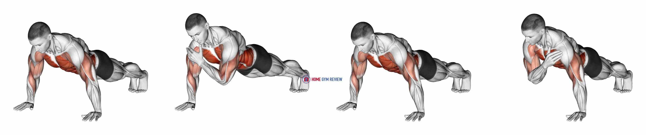 Shoulder Tap - Home Gym Review