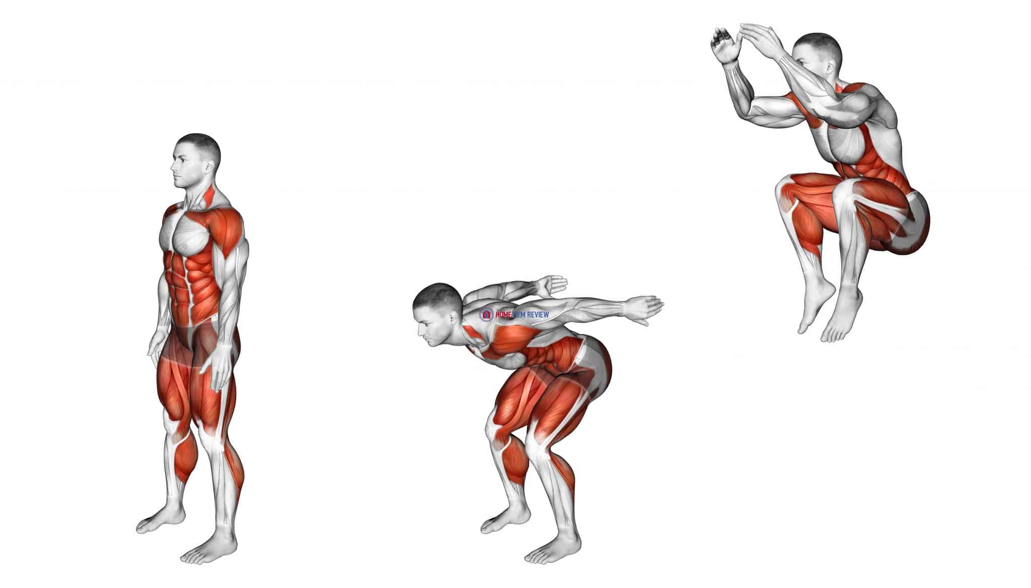 Squat Tuck Jump - Home Gym Review