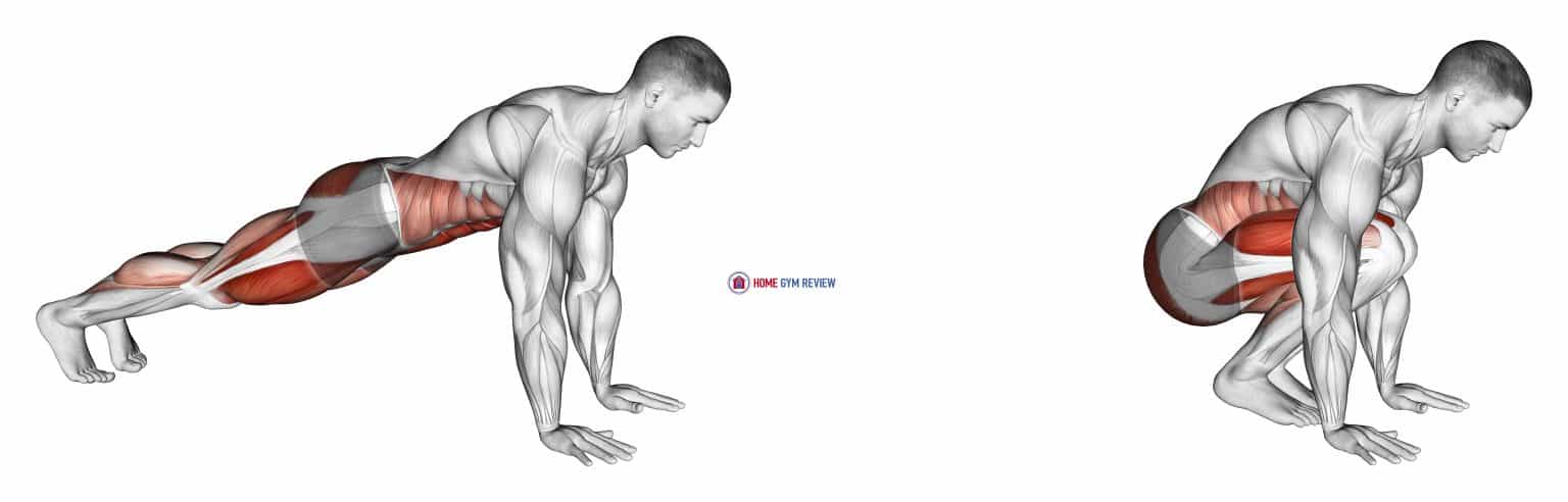 Squat Tuck Jump - Home Gym Review