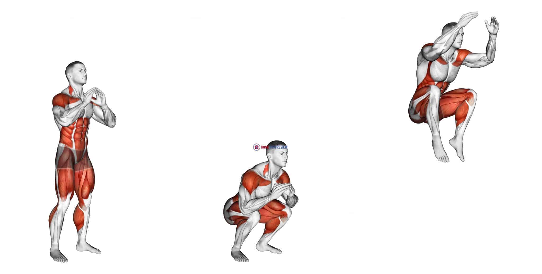 Squat Tuck Jump - Home Gym Review